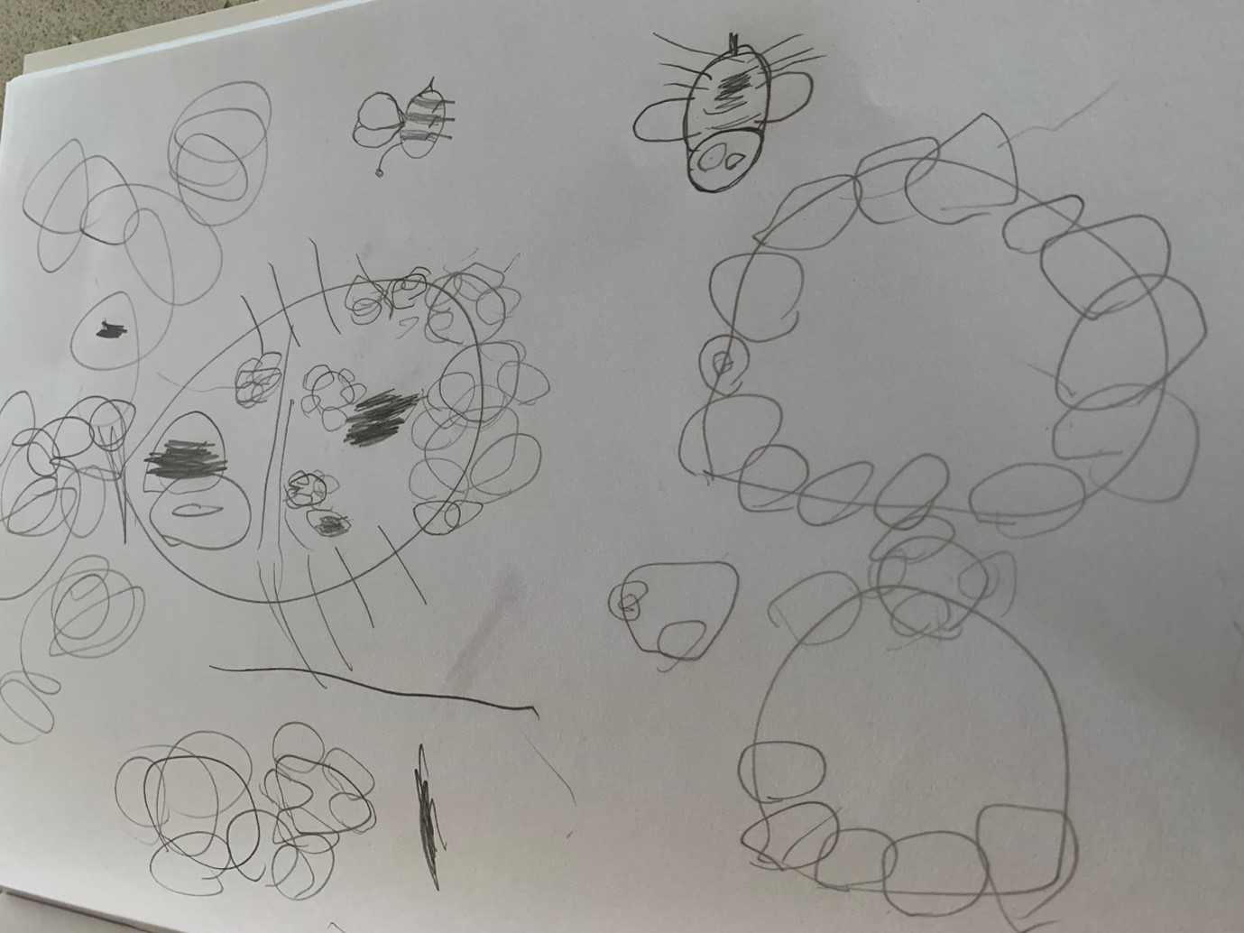 ‘Big School is different’ (Part 2): More ideas for the first 5 weeks of school – Noella Mackenzie